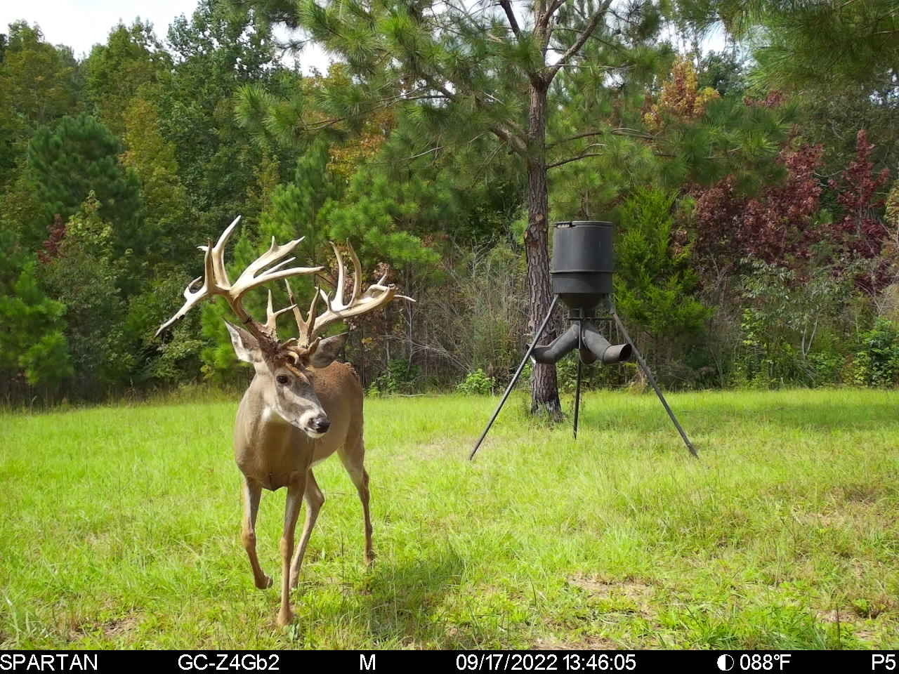 Home - Shadow Ridge Hunts